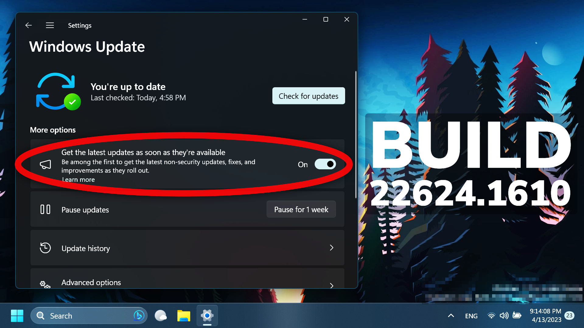 New Windows 11 Build 22624.1610 – New Windows Update Option, New ...